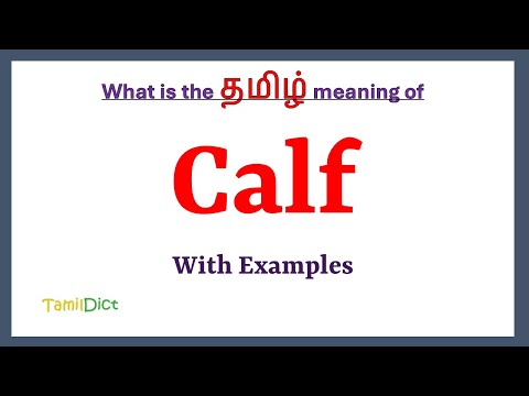 Calf Meaning in Tamil | Calf in Tamil | Calf in Tamil Dictionary |