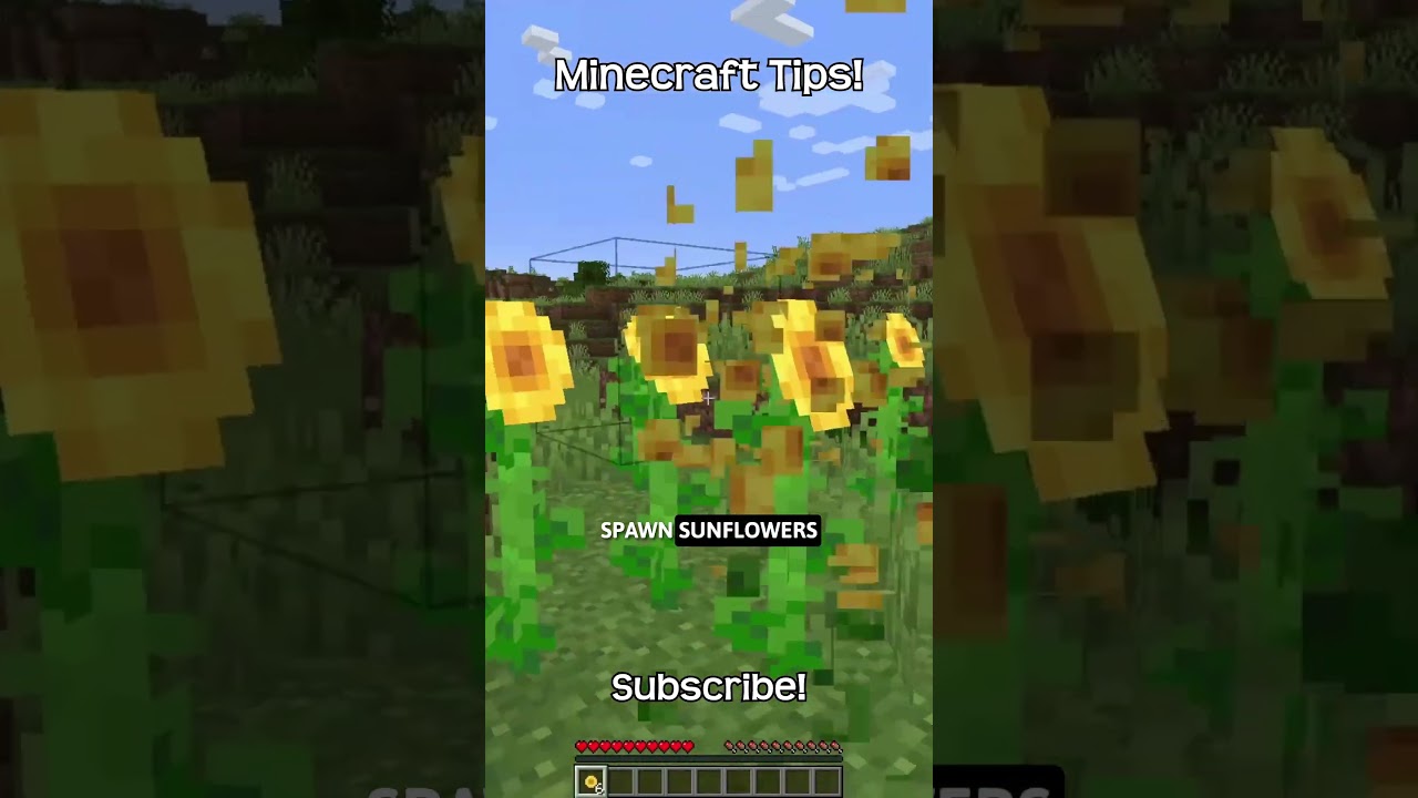 What Is The Command To Find A Sunflower Plains Biome In Minecraft?!