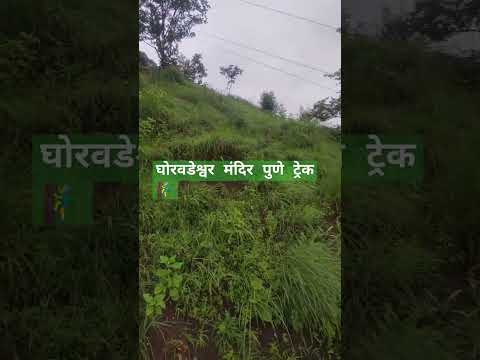 Ghoradeshwar trek | #punetravelvlog #pune #travel #trending #reels #temple #mahadev #sambhu