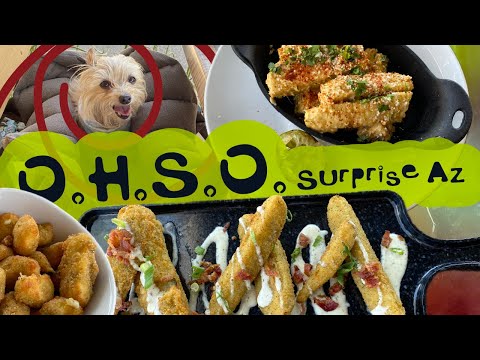 Prasada O.H.S.O Surprise AZ / Dog Friendly Restaurant Review