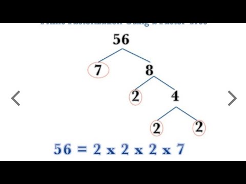 Factor Tree Of 56|Prime Factorization Of 56