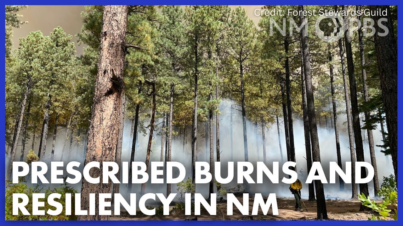 Forest Stewards Guild Talks Prescribed Burns and Resiliency in NM