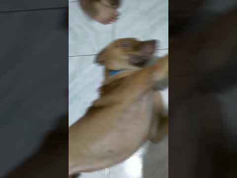 Chewy (Part 1)