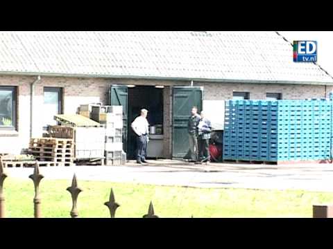 Nader onderzoek naar Somerense aspergekweekster