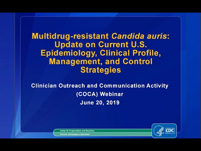 What is Candida auris? Dangers of deadly fungal infection in Washington ...