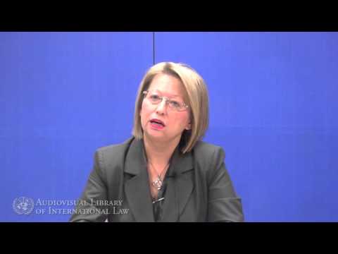 Maja Sersic on Article 51 and War against Terrorism