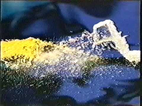 PERNOD: Free the spirit [UK]