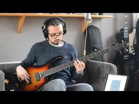 Modulus Quantum 4 Fretless 2004 - Sunburst | Reverb