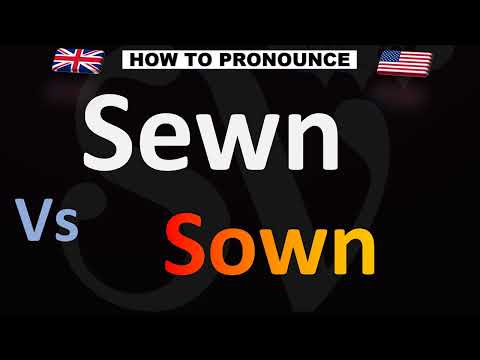 How to Pronounce SWEN vs. SOWN