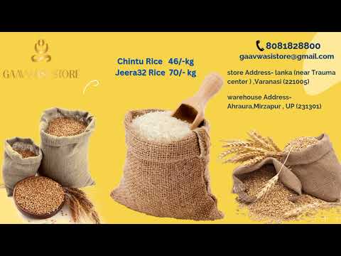 Unpolished Rice - Wholesale Price & Mandi Rate for Unpolished Rice in India