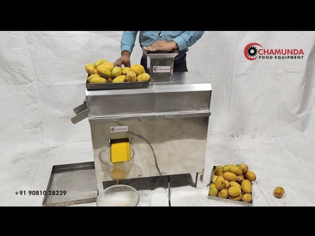 Juicer Machines - Mosambi Juicer Machine Orange Juicer Machine ...