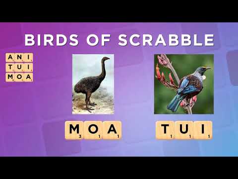 Scrabble Tips - Birds of Scrabble