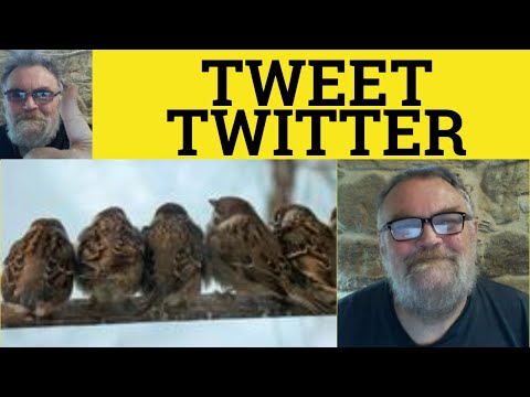 🔵 Twitter Meaning - Tweet Defined - Twitter Definition Tweet Explained - Essential GRE Twitter Tweet