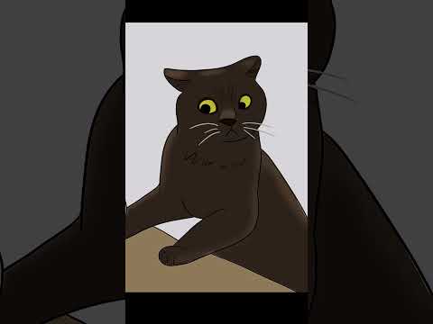 Funny Cat Memes😂 TikTok Cat Drawing Meme😹