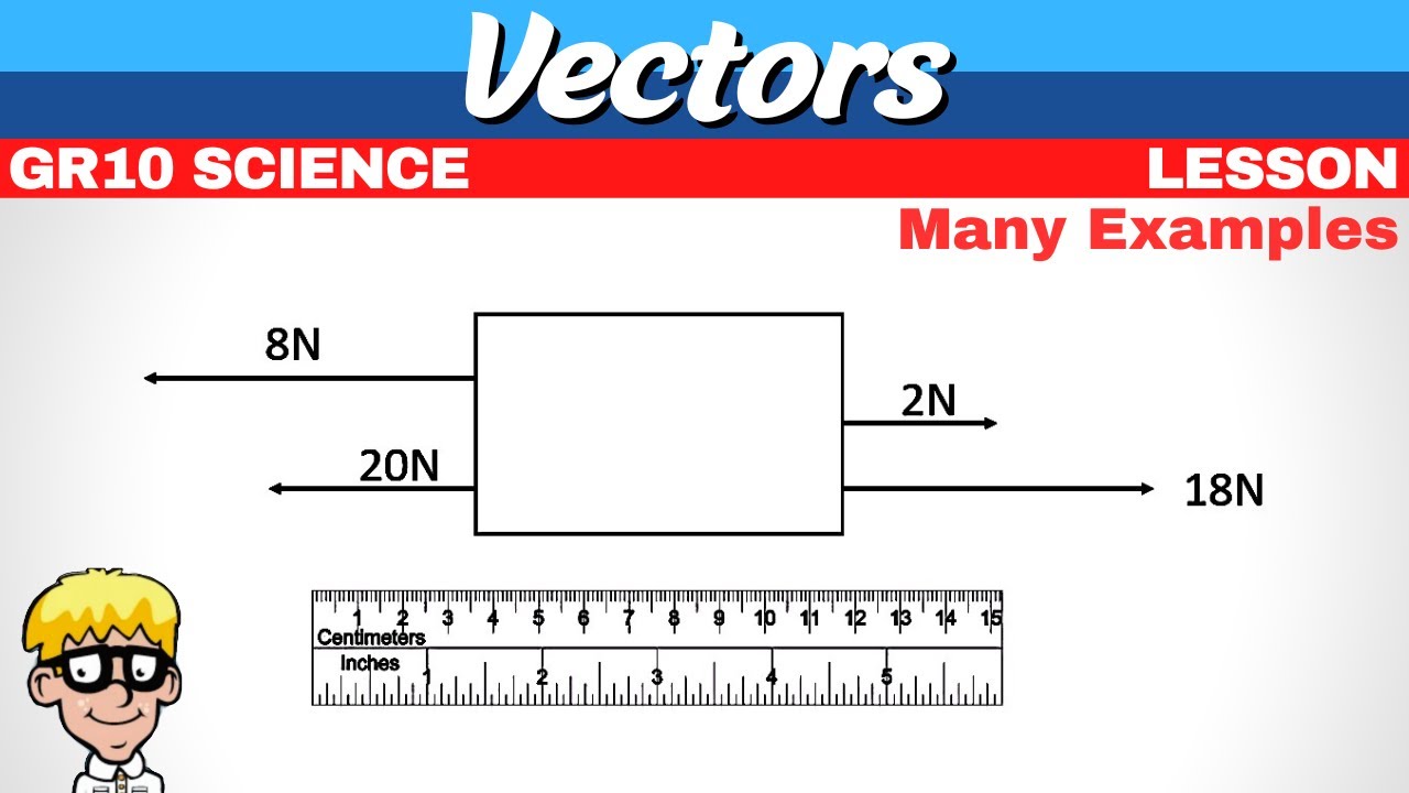 Vectors Grade 10 Science