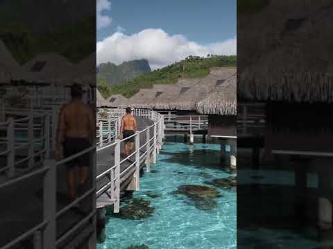 French Polynesia’s finest water bungalows 😲🏝💦