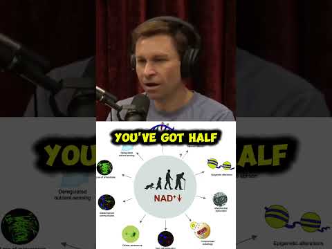 NAD Supplements: Boosting NAD and ATP for Anti Aging and Increase Lifespan