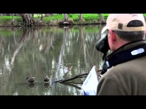 2. Learning to identify game and non-game species