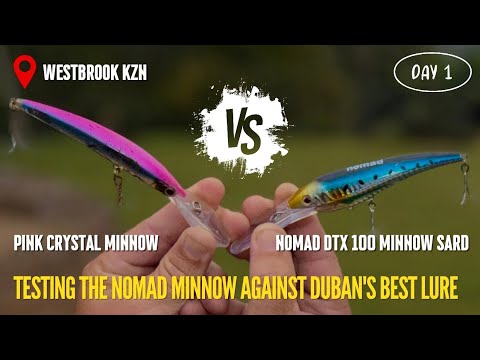Head to Head with the Pink Crystal Minnow and the Nomad Minnow 100 in Sardine.