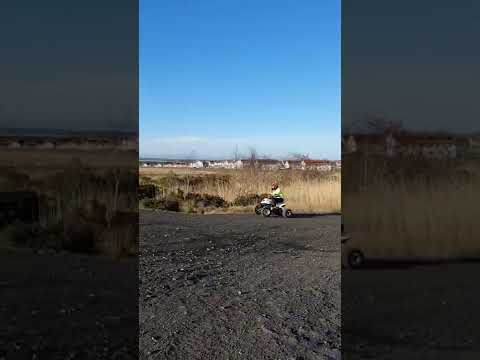 quad zilla pro shark apex 100cc 2strok racing