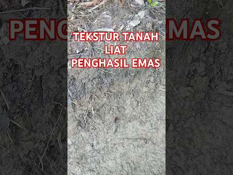 Tekstur Tanah Liat Penghasil Emas #tekstur #tanahliat #penghasilemas