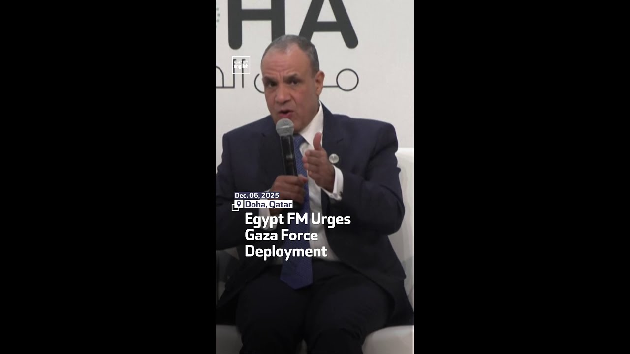 Egypt FM Urges Gaza Force Deployment