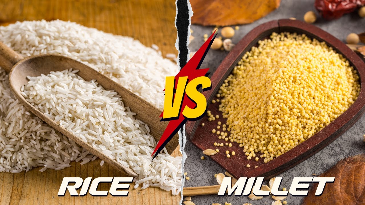 Is Millet Better Than Rice | Everything You Need to Know About Millet & Rice