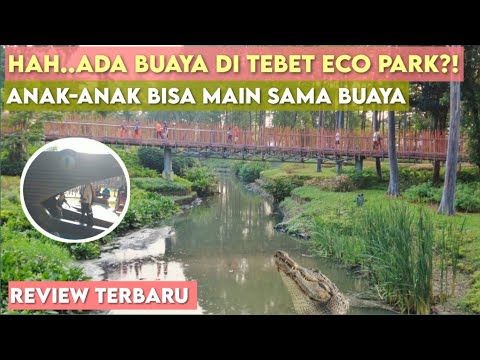 ADA BUAYA DI TEBET ECO PARK?!|REVIEW TERBARU #tebetecopark #ecopark #tamantebet