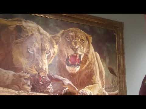 Which lion did Samson kill? – Bible stuff