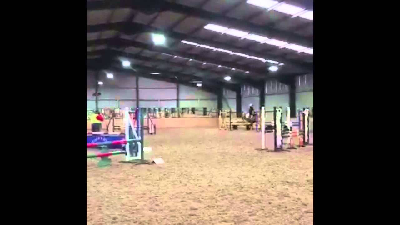 Amelia & Revolver @ Lane Farm (Dec15)