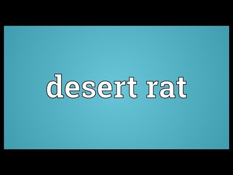 Desert rat Meaning