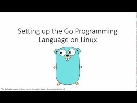 Go Setup on Linux