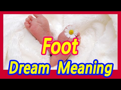 [Dream Meaning] 2) 50 Perfect Interpretations of Feet Dreams  Why Feet Appear in Dreams