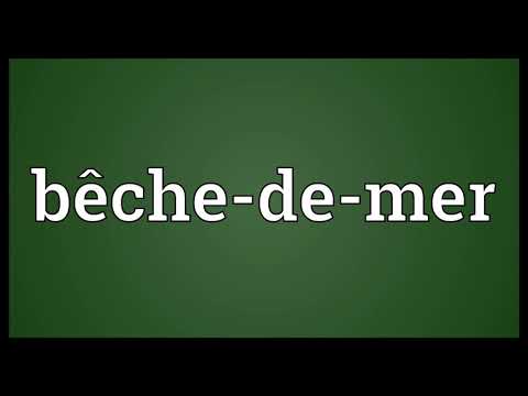 Bêche de mer Meaning