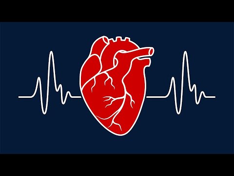 A Study of the Correlation between Brain type Natriuretic Peptide BNP Levels & Left Ventricular