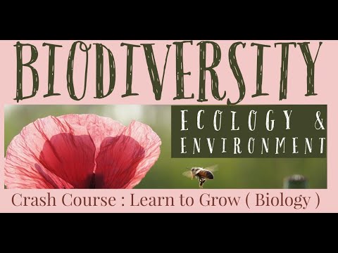 What is Biodiversity? | Biology| Ecosystem| Lesson for students |Ecology & Environment| Flora| Fauna