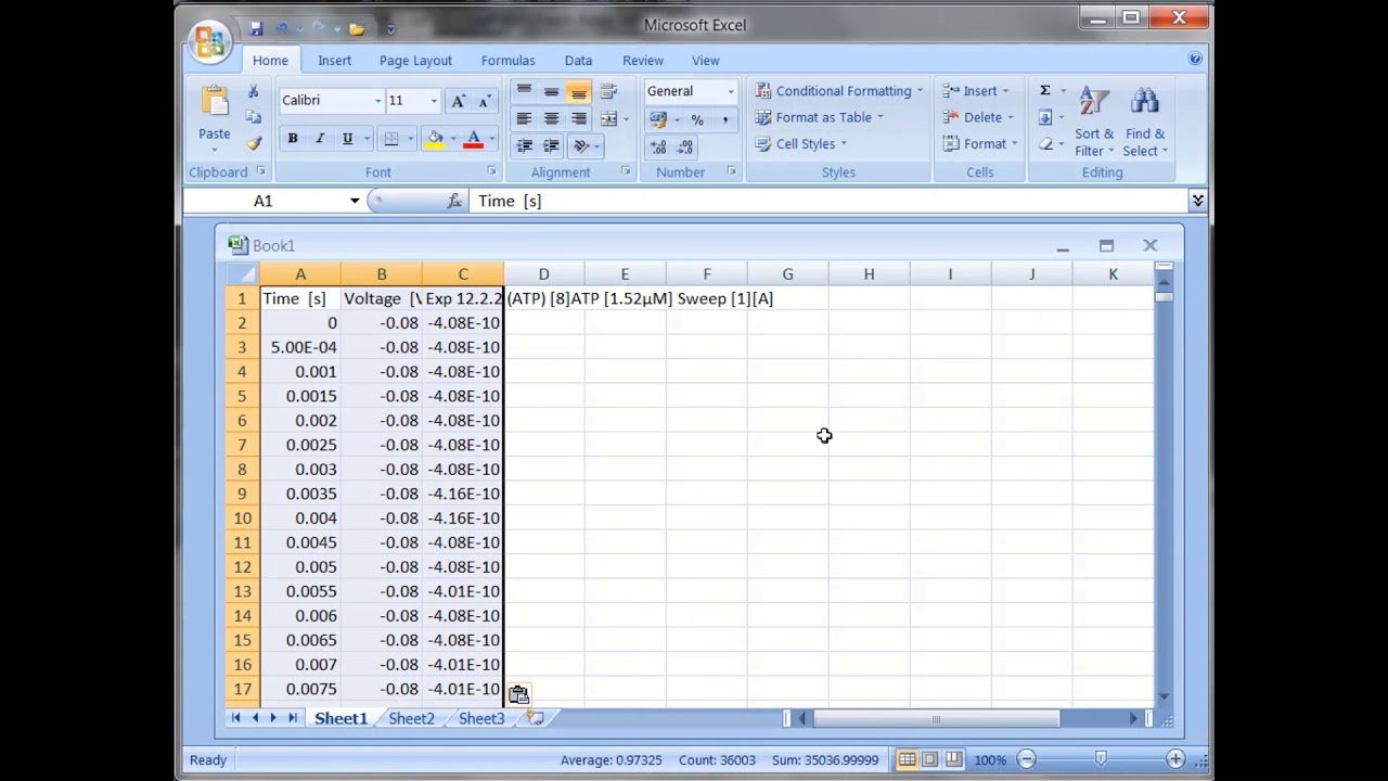 QPatch - How to export raw data