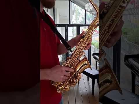 NO TARIFFS - Selmer Reference 54 Hummingbird Charlie Parker | Reverb