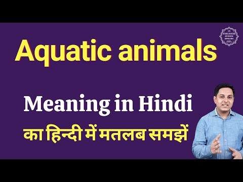 Aquatic animals meaning in Hindi | Aquatic animals ka matlab kya hota hai | Spoken English Class
