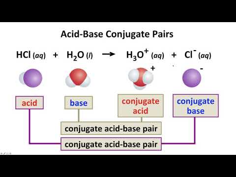 Acids-Bases-Conj-Pairs-2020