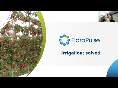 FloraPulse: Accurate Irrigation Guidance for Healthier, More Productive Orchards and Vineyards