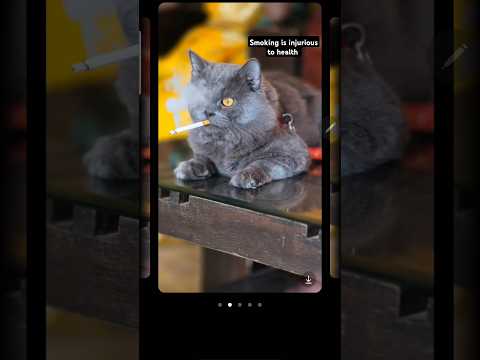 Galaxy s24 ultra power #samsung #cat #s24ultra #smartphone #ai