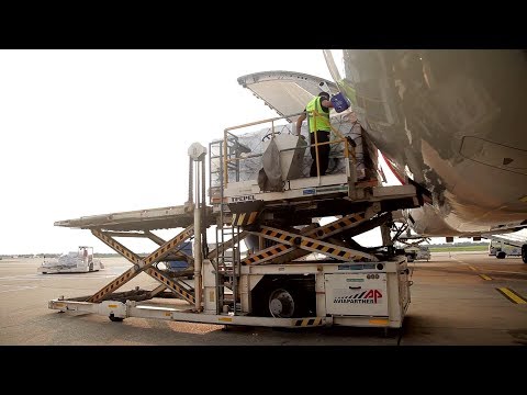 transport logistic | Artificial Intelligence at Air Cargo