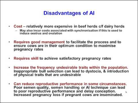 TV4001 AI in cattle 1 - Advantages and disadvantages - 5 min