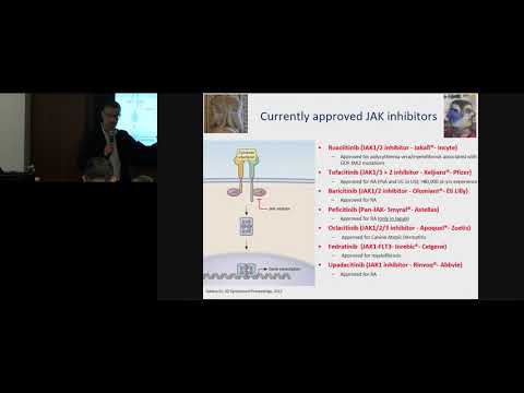 An overview of selective Jak inhibitors and relevance for SJIA-LD - Dr. Massimo Gadina