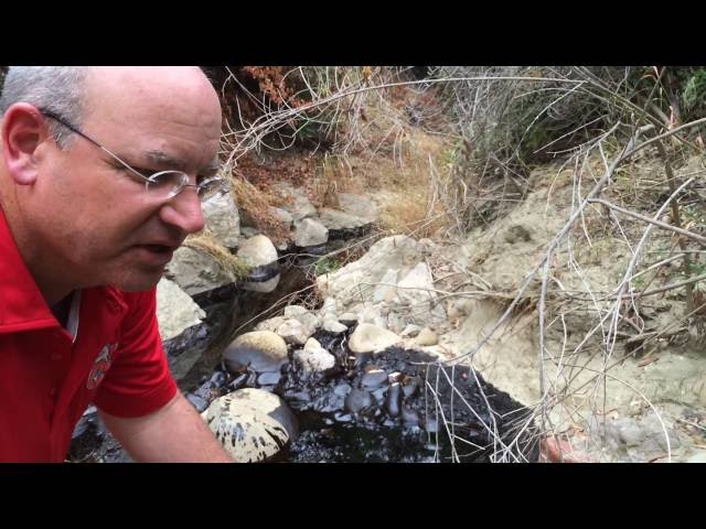 Pirate Lab | Dr. Sean Anderson’s PIRatE Lab