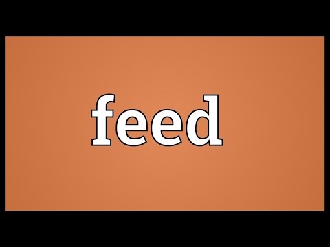 Feed Meaning