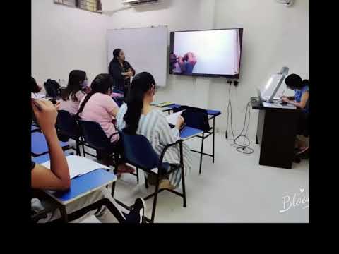 Visual Presenter at Best Price in India