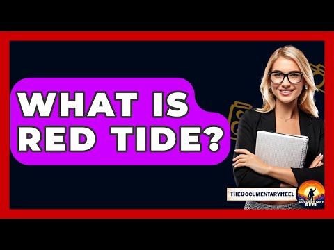 What Is Red Tide? - The Documentary Reel