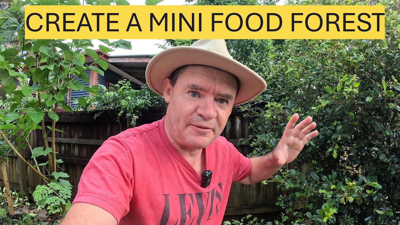 Is it Worth Creating a Mini Urban Food Forest For Self Sufficiency